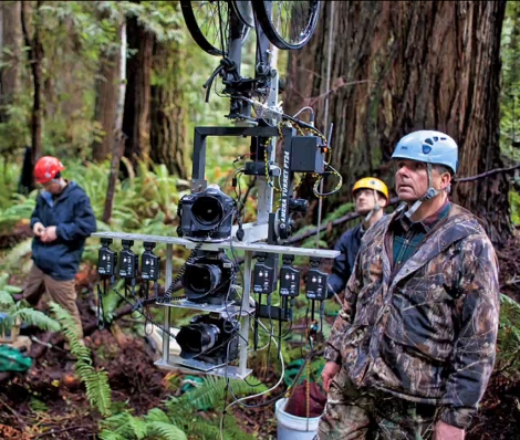 Multi-camera Rig Makes Trees Say Cheese | Hackaday