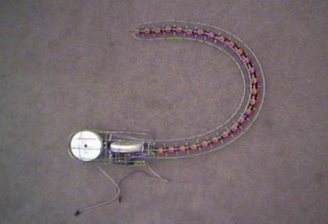 Life Size Animatronic Wolf Tail | Hackaday