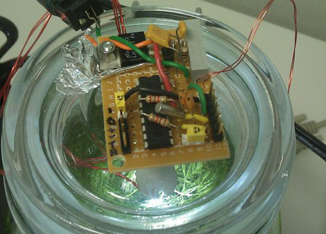 Biosphere Lighting | Hackaday