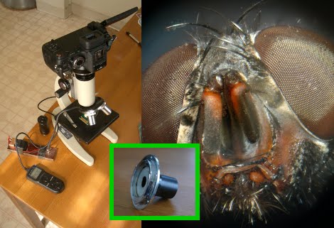 Microscope Camera Adapter | Hackaday
