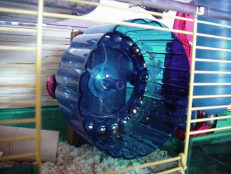 Human Hamster Wheel Generator