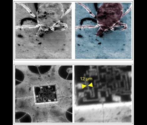 10 µm Scanning Electron Microscope From Vidicon Tube | Hackaday