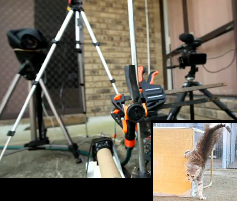 Automated Hose Keeps Cats From Watering You | Hackaday