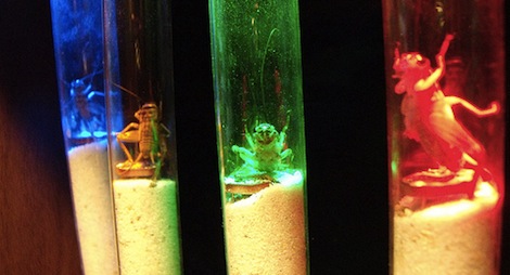 Insects Turned Into Orchestra; Not Harmed But Terribly Inconvenienced ...