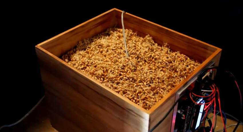 Malting Kiln Controller For Preparing Beer Brewing Grains | Hackaday