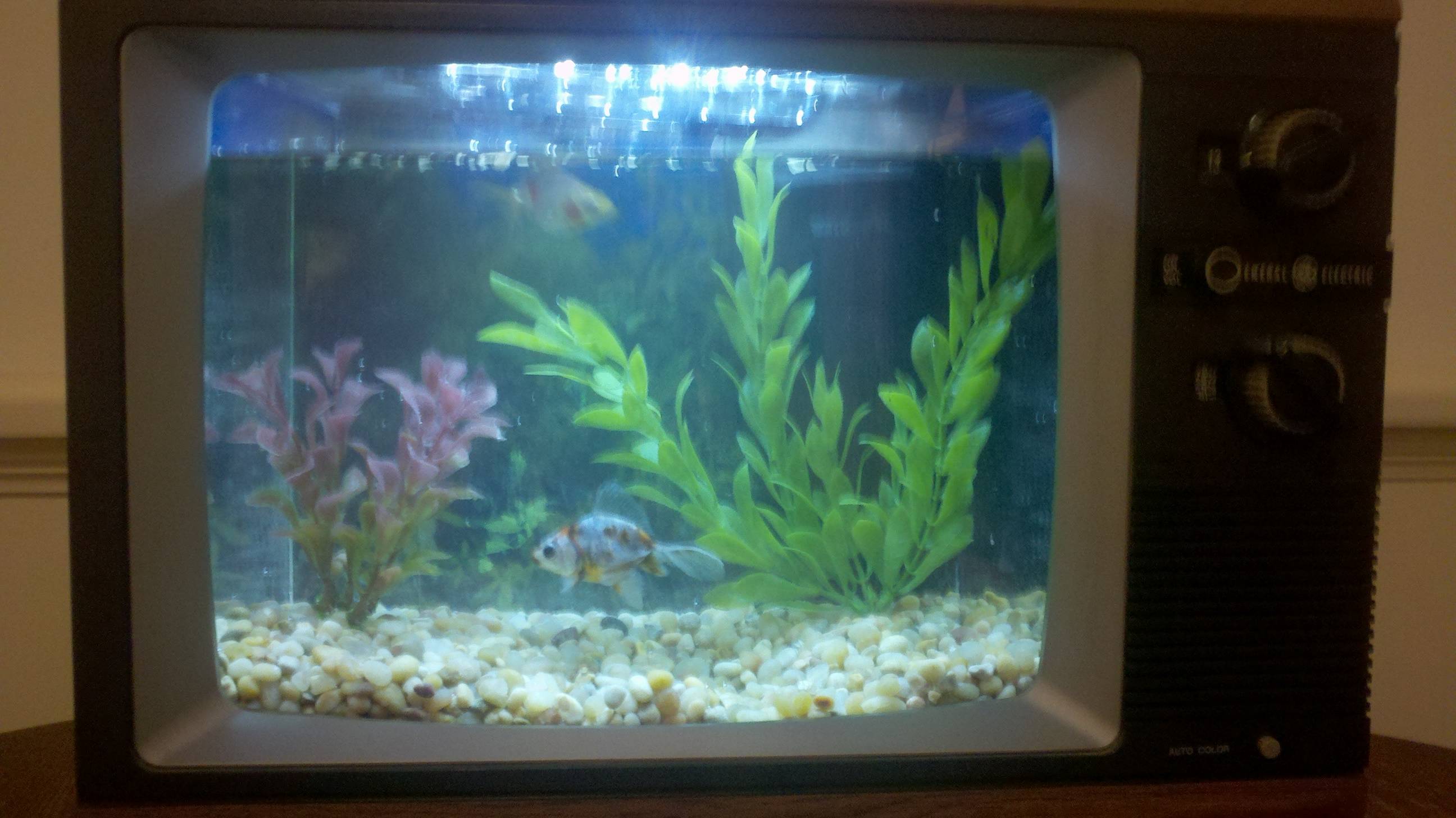 Scavenged Tube Television Makes A Nice Fish Tank | Hackaday