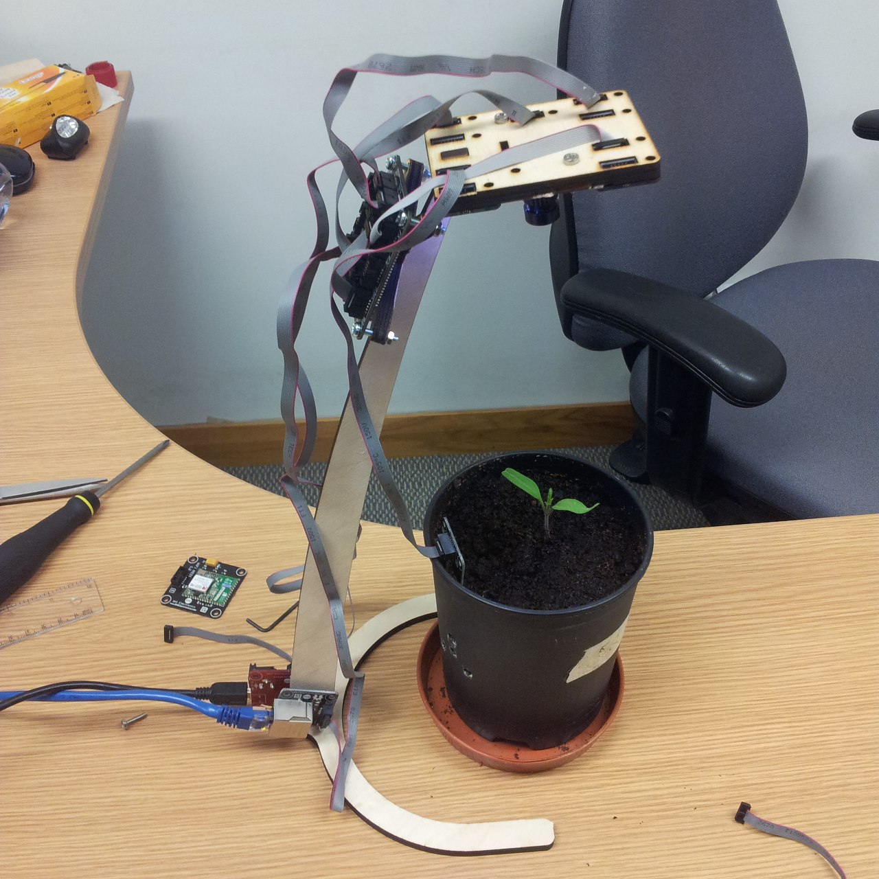 Gadgeteer Plant Monitor Wants It Wet And Photogenic | Hackaday
