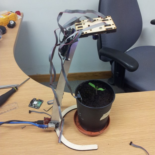 Gadgeteer Plant Monitor Wants It Wet And Photogenic | Hackaday