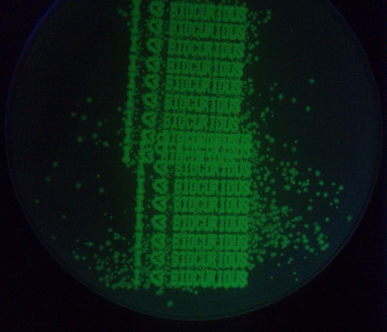 Build A Bioprinter From Very Old Inkjet Cartridges | Hackaday