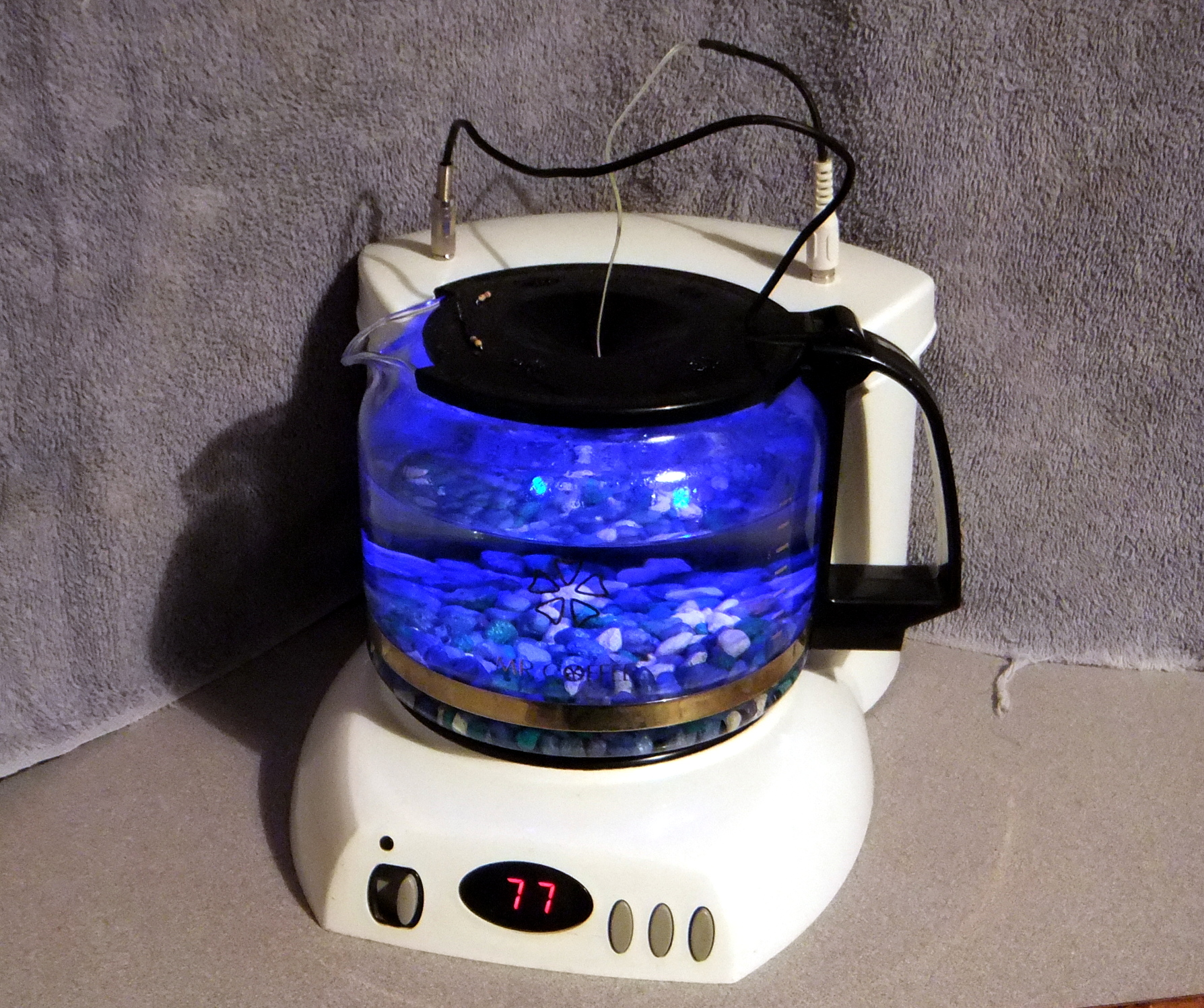 Coffee Pot Aquarium Keeps Fish Warm Without Cooking Them (hopefully ...