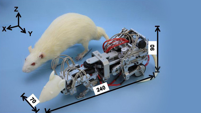 Robotic Rat Torments And Depresses Real Rats | Hackaday