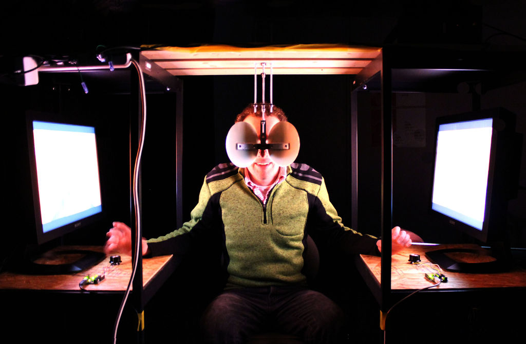 Stereoscopic Display Art Installation | Hackaday