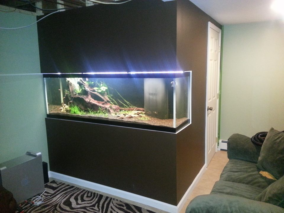 Building An Aquarium Into Your Walls | Hackaday