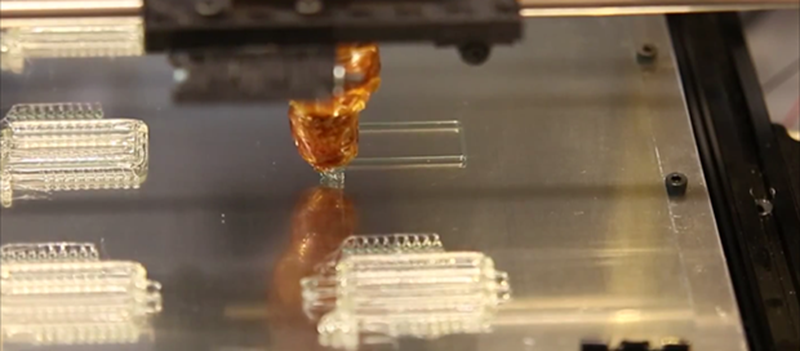 MRRF: 3D Bioprinting | Hackaday