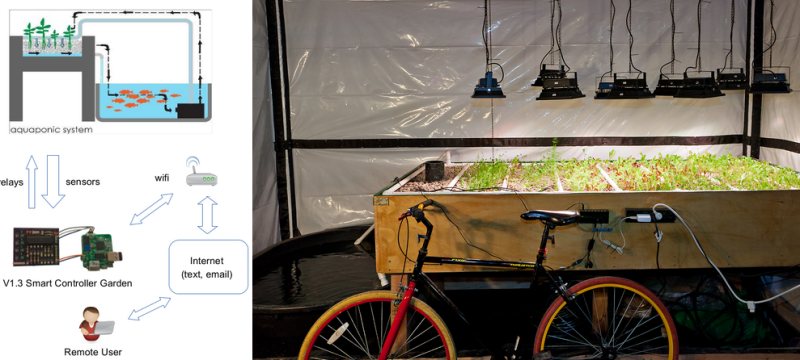 Aquaponic System Uses Arduino For Consistent Performance | Hackaday