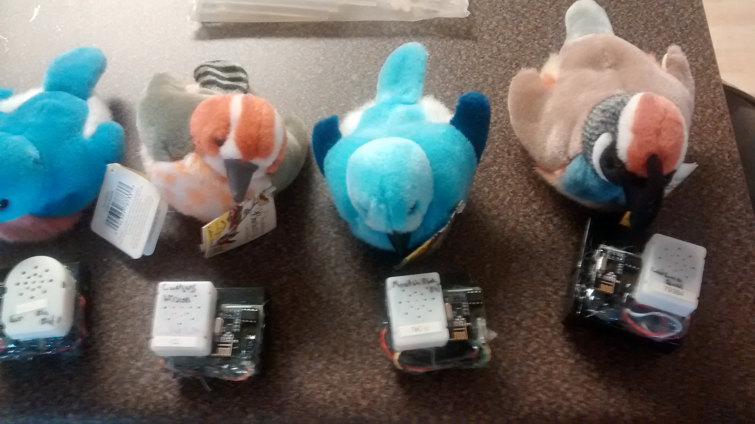 Bluetooth Low Energy Beacons In A Flock Of Birds | Hackaday