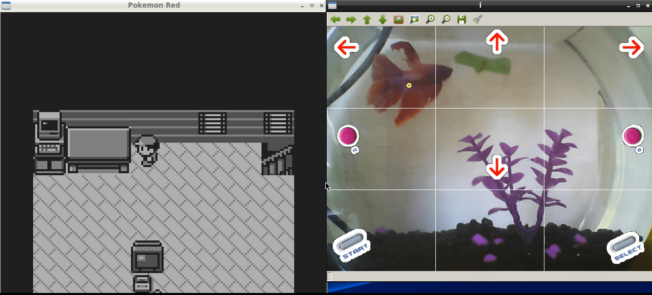 Twitching Fish Plays Pokemon Underwater | Hackaday