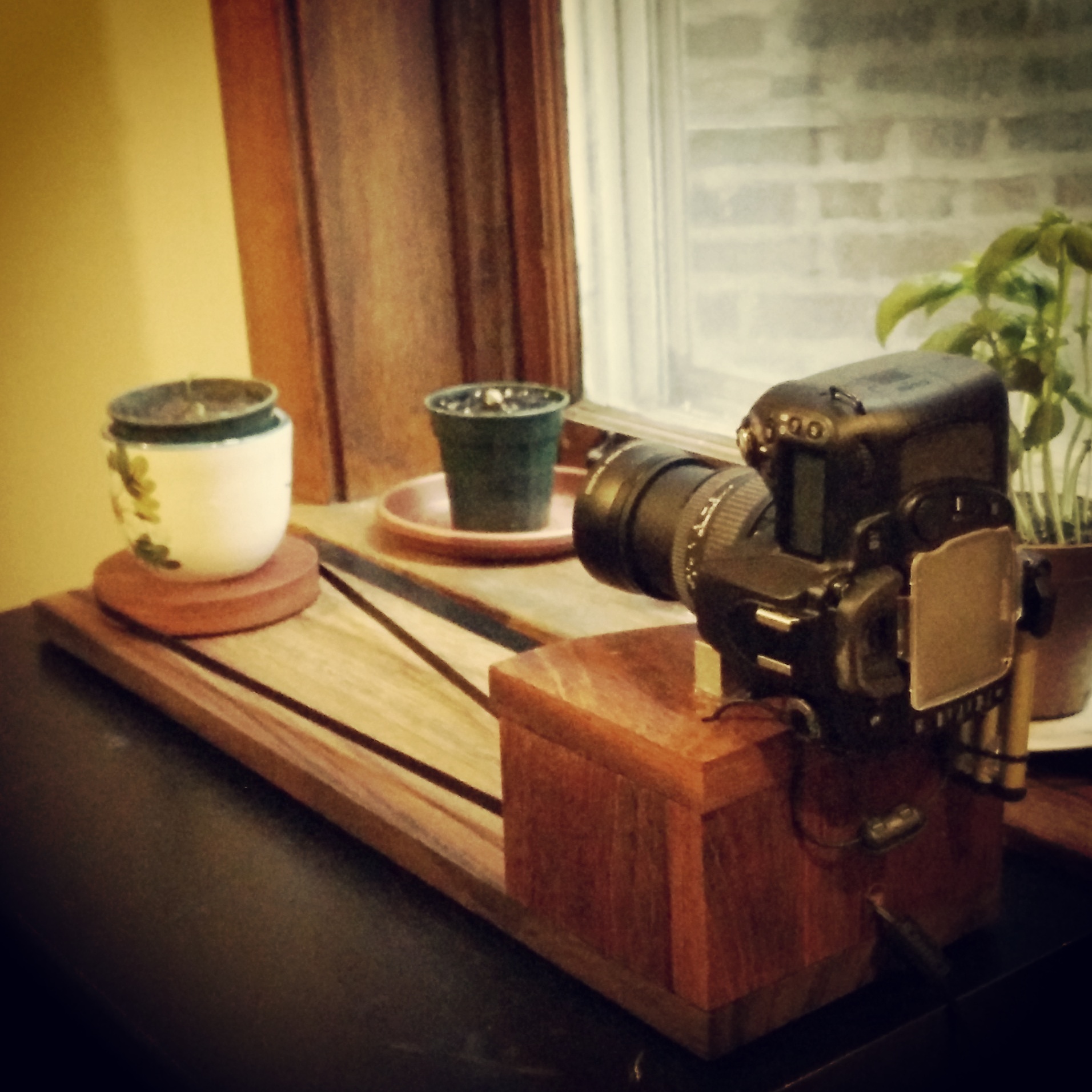 Rotating Plants For Time-Lapse Purposes | Hackaday