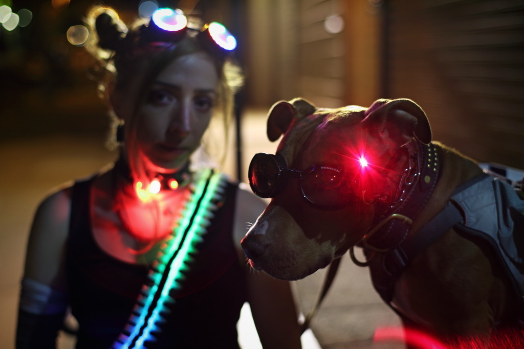 Laser Dog Goggles Make Halloween A Nice Night For A Walk | Hackaday