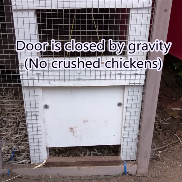 Raspberry Pi Controlled Chicken Door Hackaday