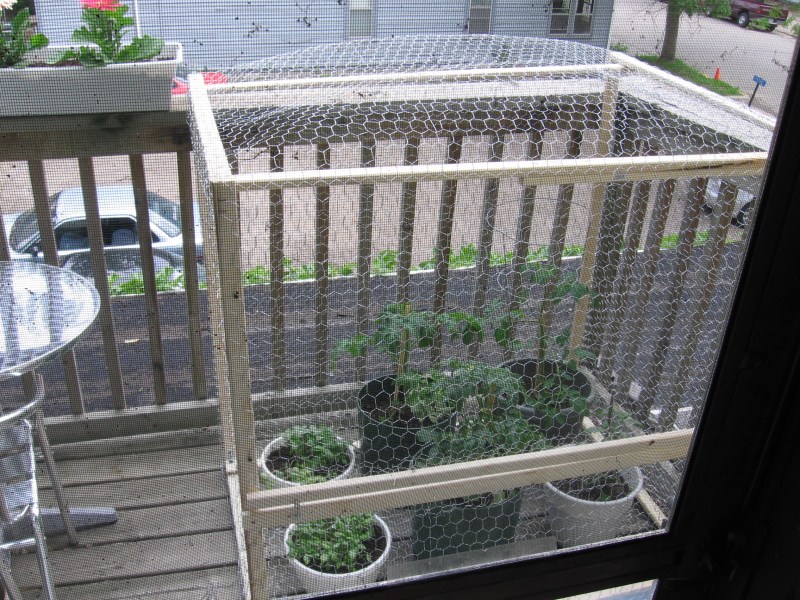 These Builds Grow Food In Cities | Hackaday