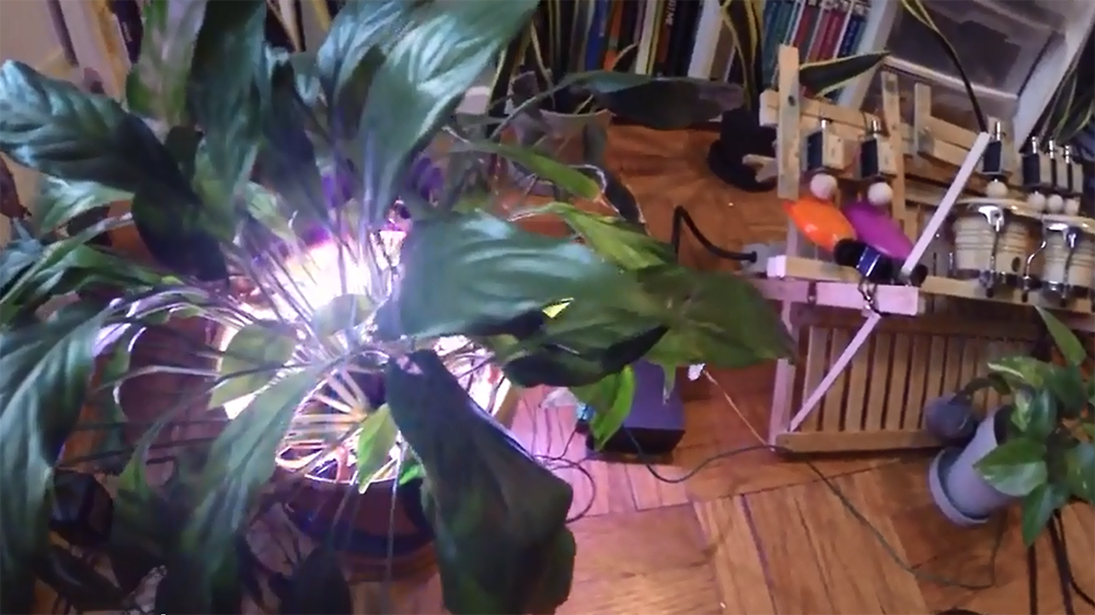 Play Robotic Bongos Using Your Household Plants | Hackaday