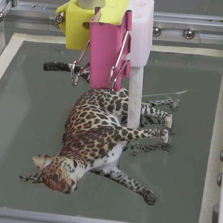 Printing Photorealistic Images On 3D Objects | Hackaday