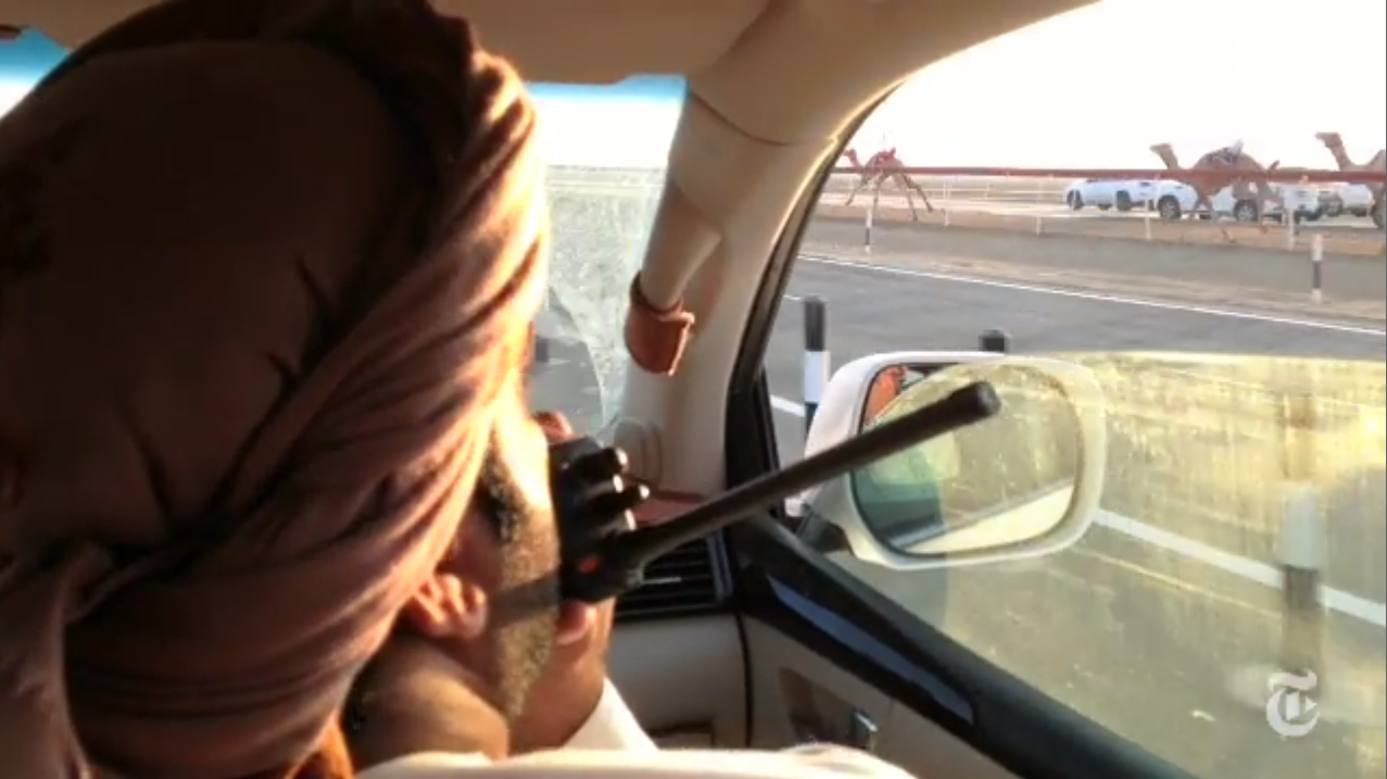 Robot Camel Jockeys | Hackaday