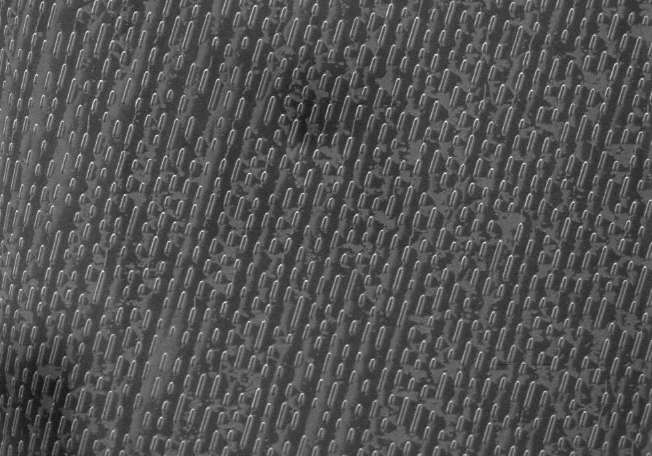 Phonographs Through The Eye Of An Electron Microscope | Hackaday
