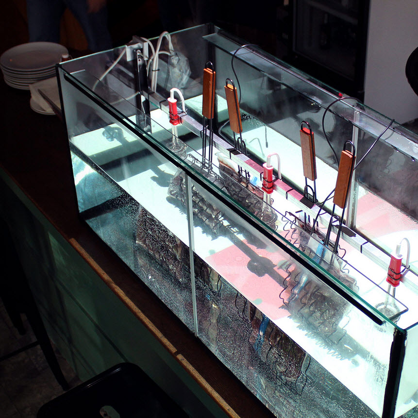 Your Steaks Sleep With The Fishes In This Giant Sous Vide Aquarium | Hackaday
