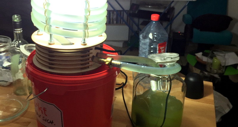Growing Algae For Fun And Profit | Hackaday