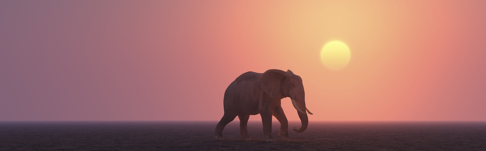 Hackaday Prize Entry: There’s An Elephant In The Room | Hackaday