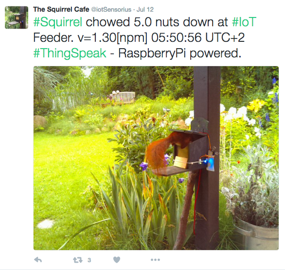 Squirrel Café To Predict The Weather From Customer Data | Hackaday