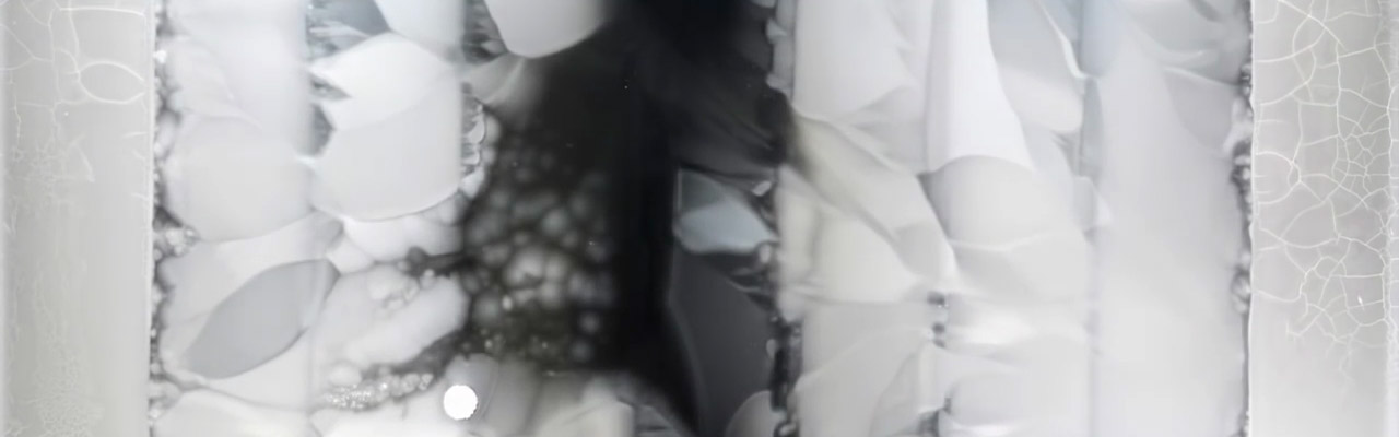 Mega-Plate Petri-Dish Lets You Watch The Evolution Of Bacteria | Hackaday