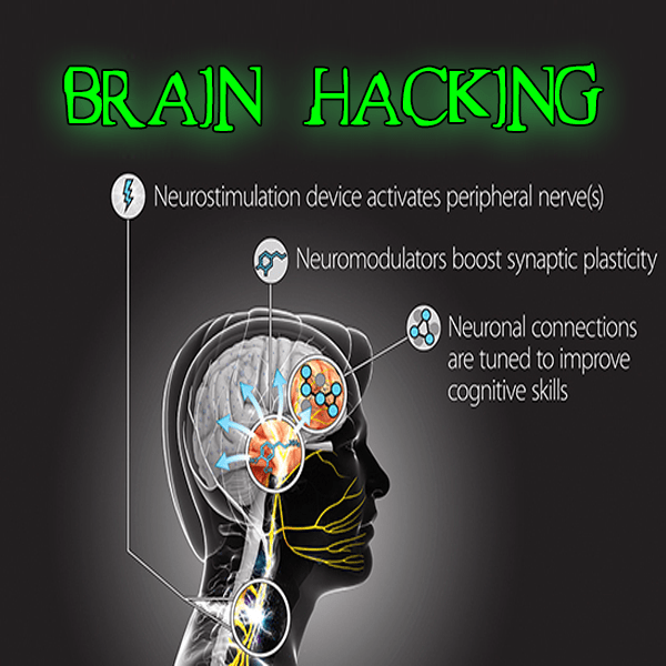 DARPA Plans To Begin Hacking Human Brains | Hackaday DARPA Plans To Begin Hacking Human Brains | Hackaday