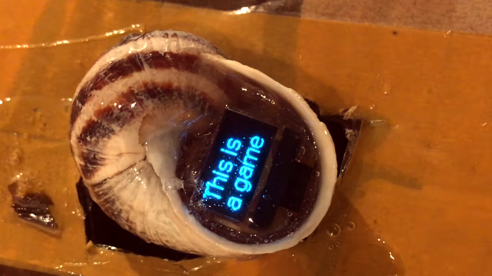Snail Is Actually Cleverly Strange Geocaching Waypoint | Hackaday