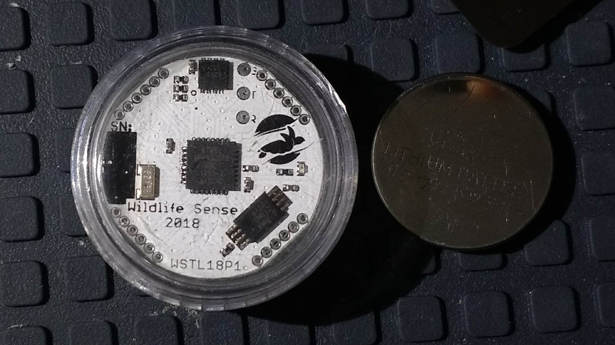 Coin Cell Powered Sea Turtle Research | Hackaday