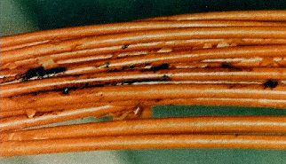 Kapton: Miracle Material With A Tragic History | Hackaday