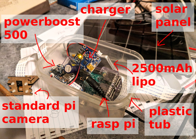 Counting Bees With A Raspberry Pi Hackaday 