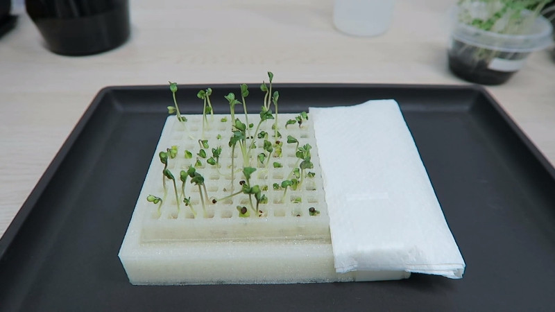 Germinate Seeds With The Help Of 3D Printing | Hackaday