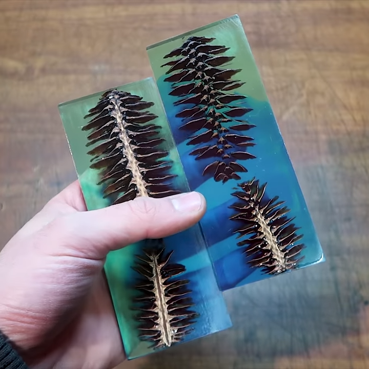 How To Make Bisected Pine Cones Look Great, Step-by-Step | Hackaday
