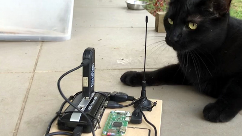 The Cat, The Aircraft, And The Tiny Computer | Hackaday