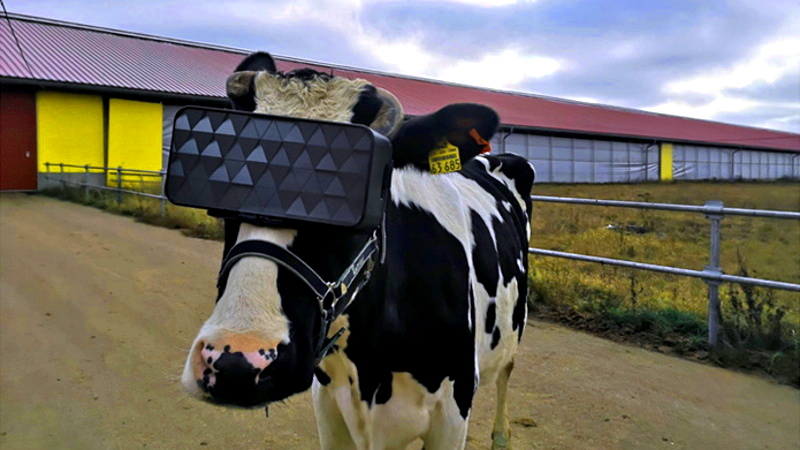 Electric Dreams Help Cows Survive The Desert Of The Real | Hackaday