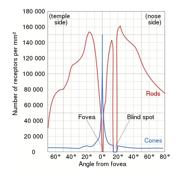 The Smallest Large Display Is Projected Straight Onto Your Retina ...
