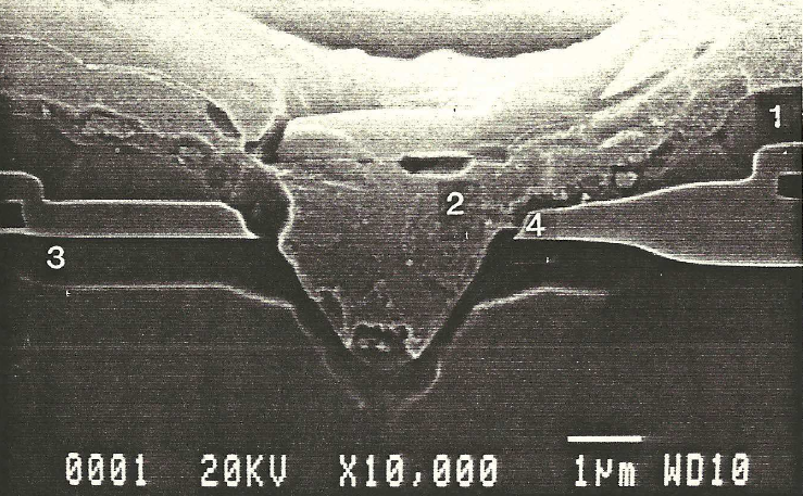 Your Own Open Source ASIC: SkyWater-PDK Plans First 130 Nm Wafer In ...