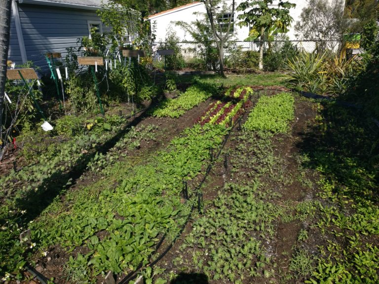 Tend Your Garden… Again | Hackaday