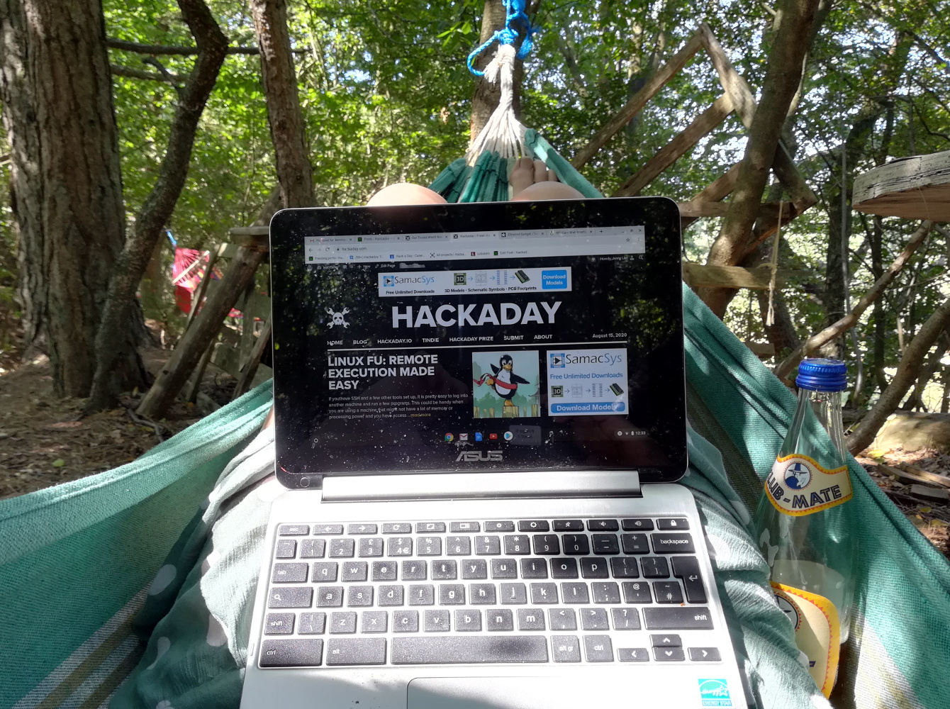 Running A Successful Hacker Camp In A Pandemic: BornHack 2020 | Hackaday