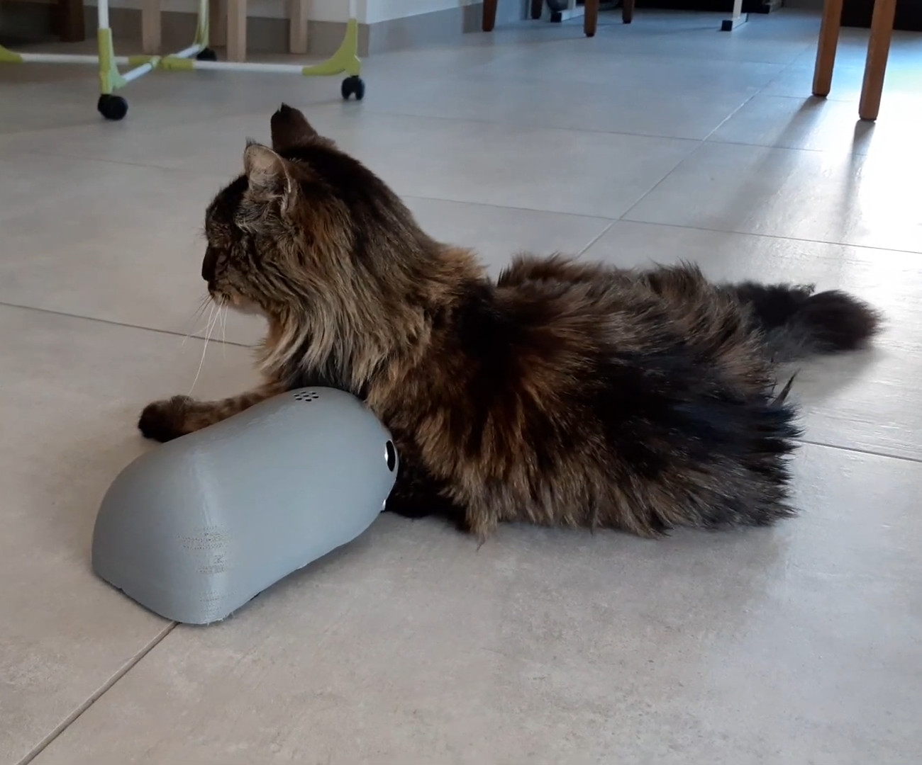 Robotic Mouse Toy Built For Cats | Hackaday
