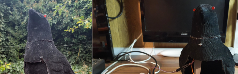 Raven-cam-800_blogview | Hackaday