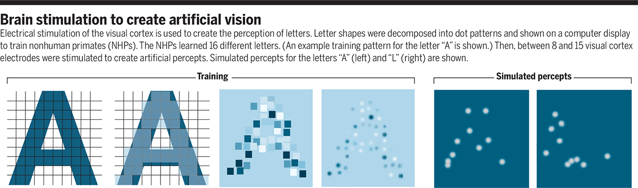 Seeking Enlightenment: The Quest To Restore Vision In Humans | Hackaday